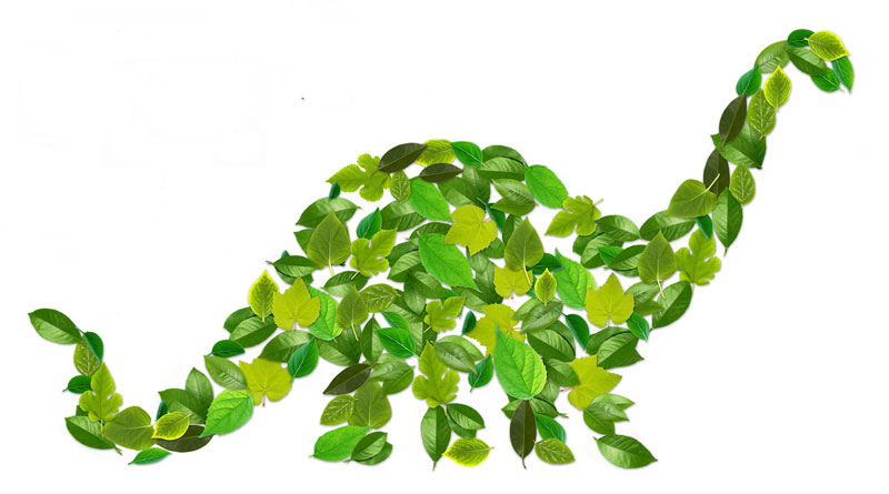 Sinclair Oil Corporation